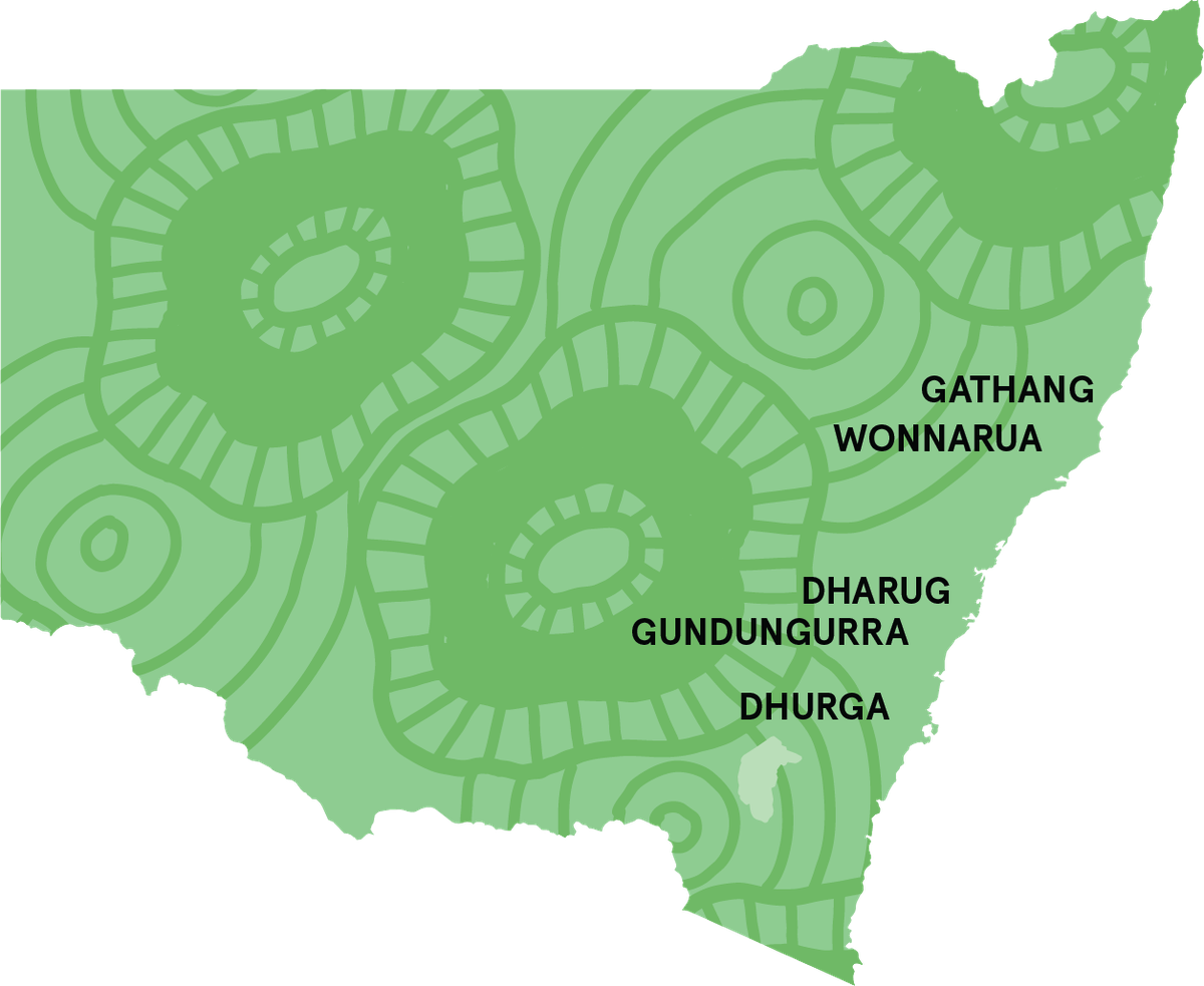 First Nations names for frogs - The Australian Museum
