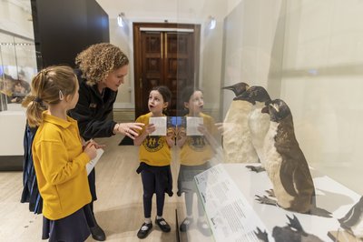 Australian animals unit