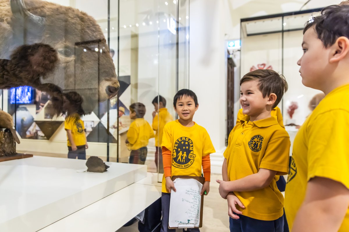 Animals in our living world - The Australian Museum