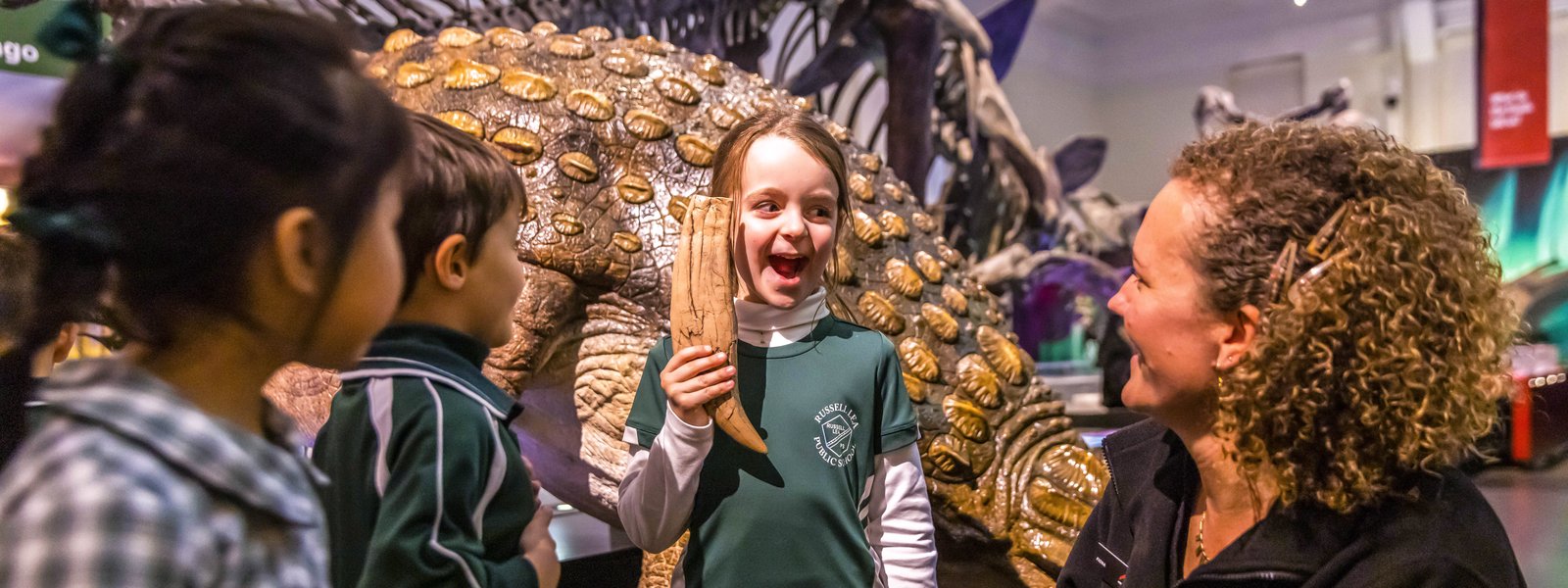 Dinosaurs unit - The Australian Museum