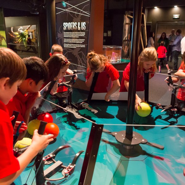 How to create an exhibition in your classroom - The Australian Museum