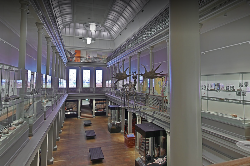 Australian animals unit