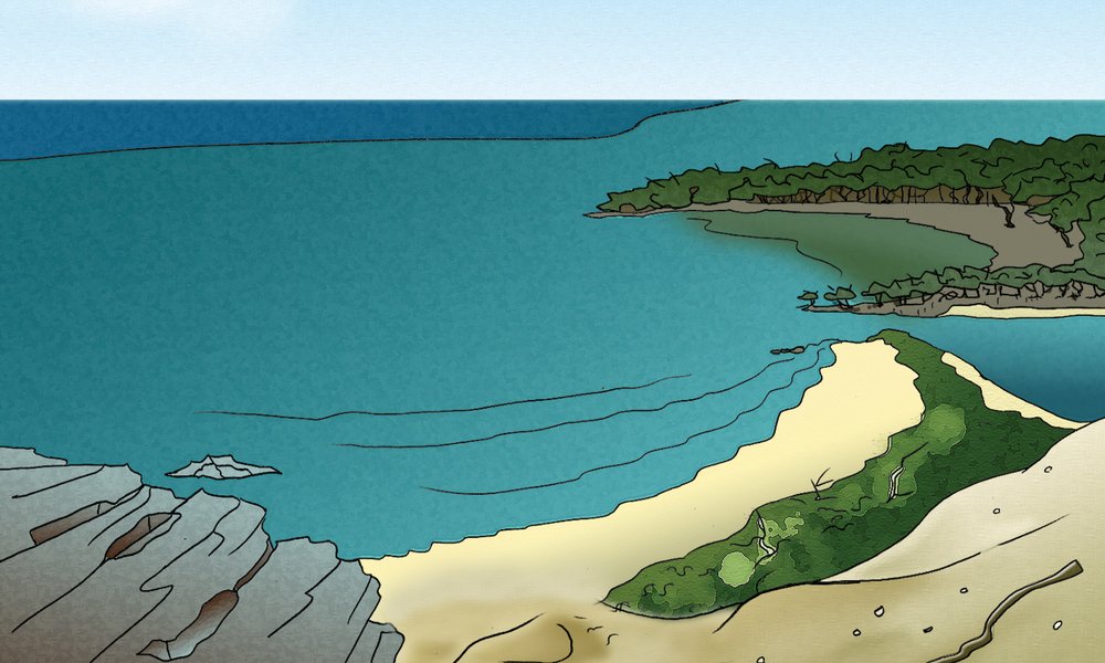 What are some Australian habitats? - The Australian Museum