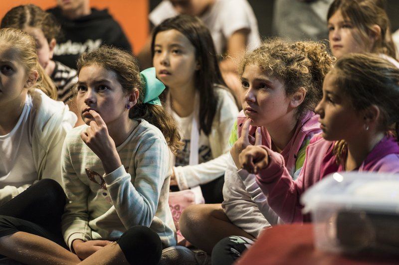 Australian animals unit