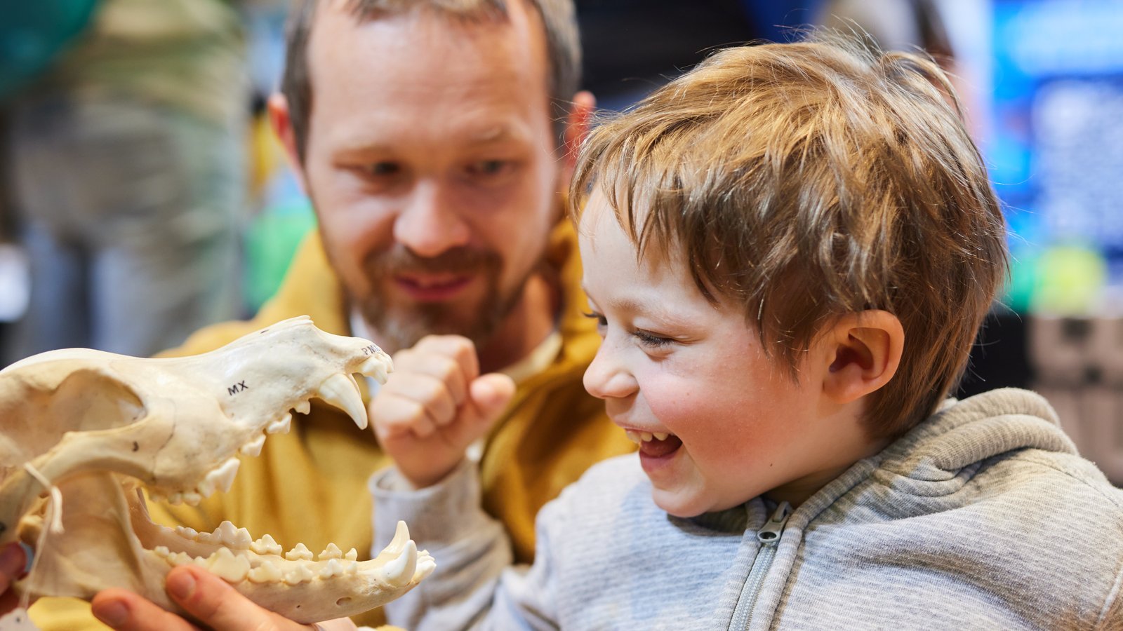 Inspiring young sparks: Sydney Science Trail 2025 - The Australian Museum