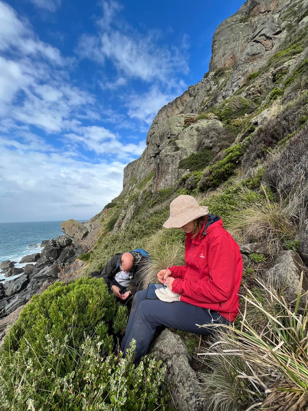 Collecting Australia’s smallest snails: a punctid dot-to-dot across ...