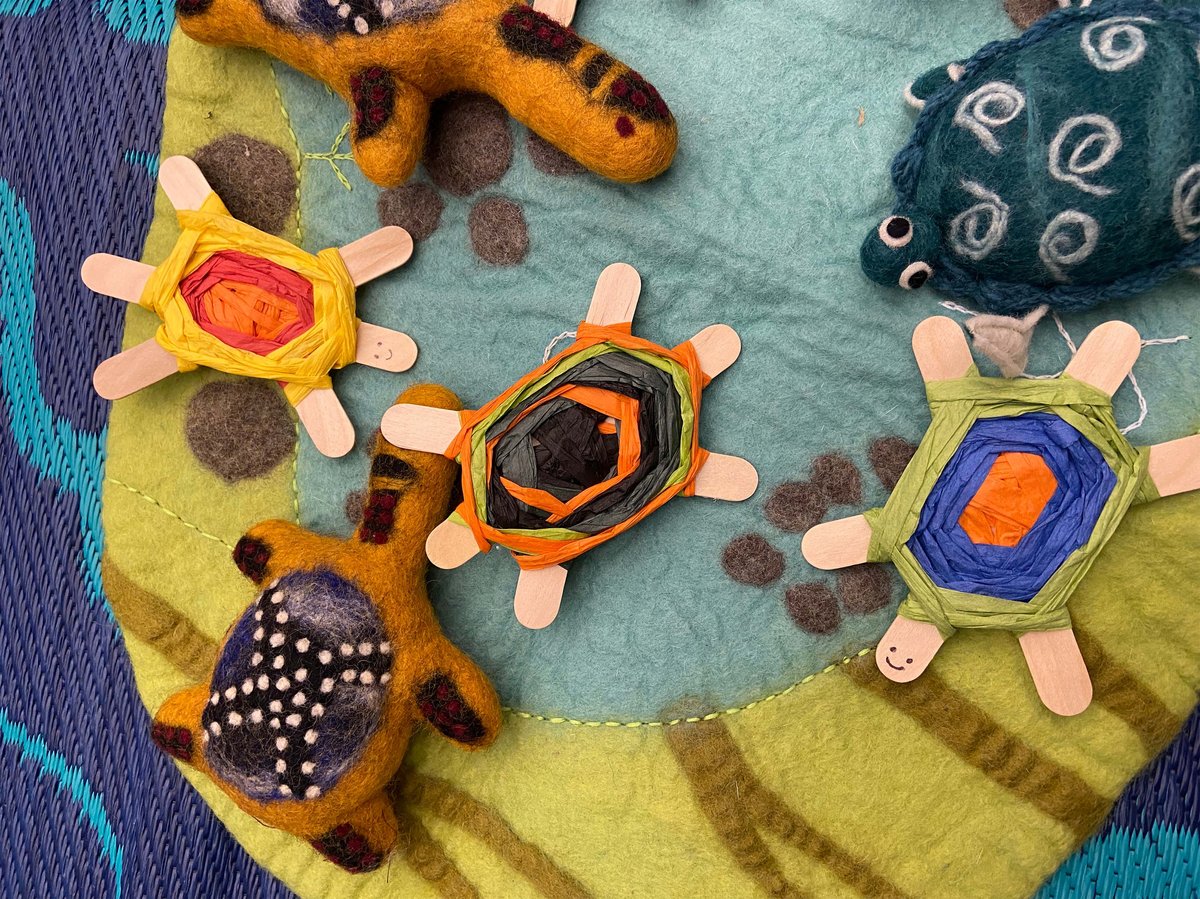 Turtle Dreaming: Weaving