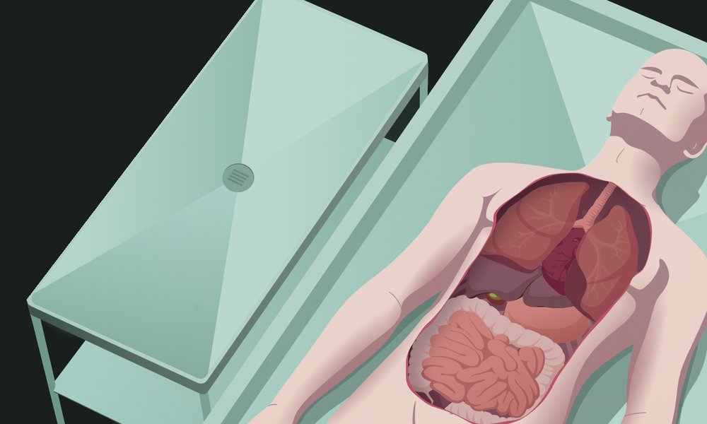 Virtual autopsy - The Australian Museum