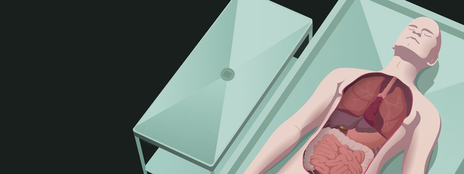 Virtual autopsy - The Australian Museum