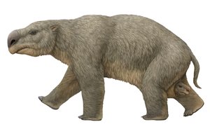 Prehistoric Australia - The Australian Museum