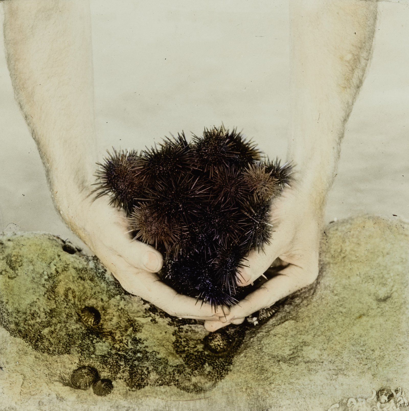 Patricia Egan: Stories from the Photographic Archive - The Australian ...