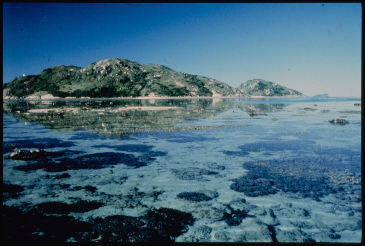 Patricia Egan: Stories from the Photographic Archive - The Australian ...