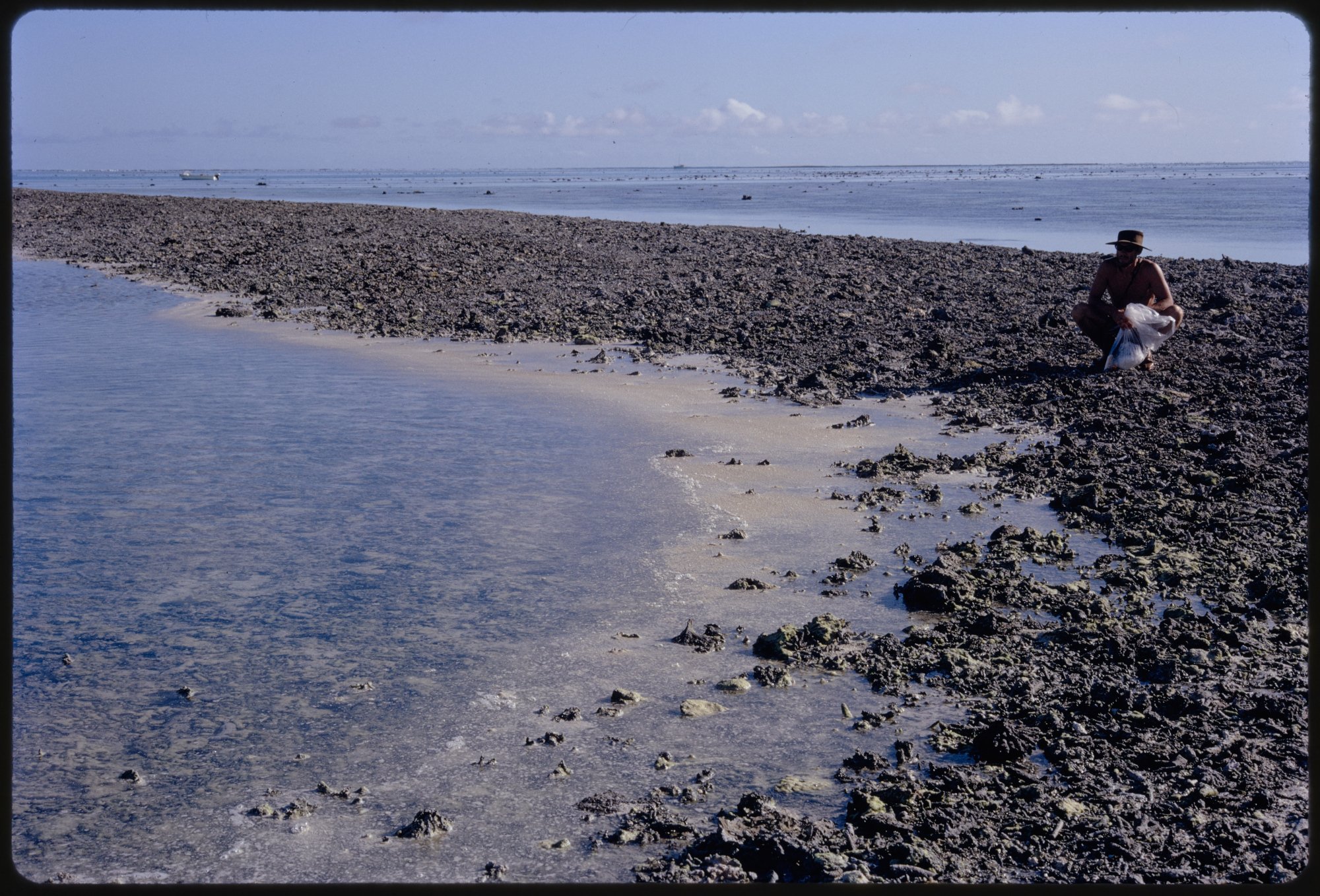 Patricia Egan: Stories from the Photographic Archive - The Australian ...