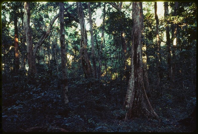 Patricia Egan: Stories from the Photographic Archive - The Australian ...