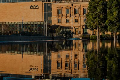 Australian animals unit