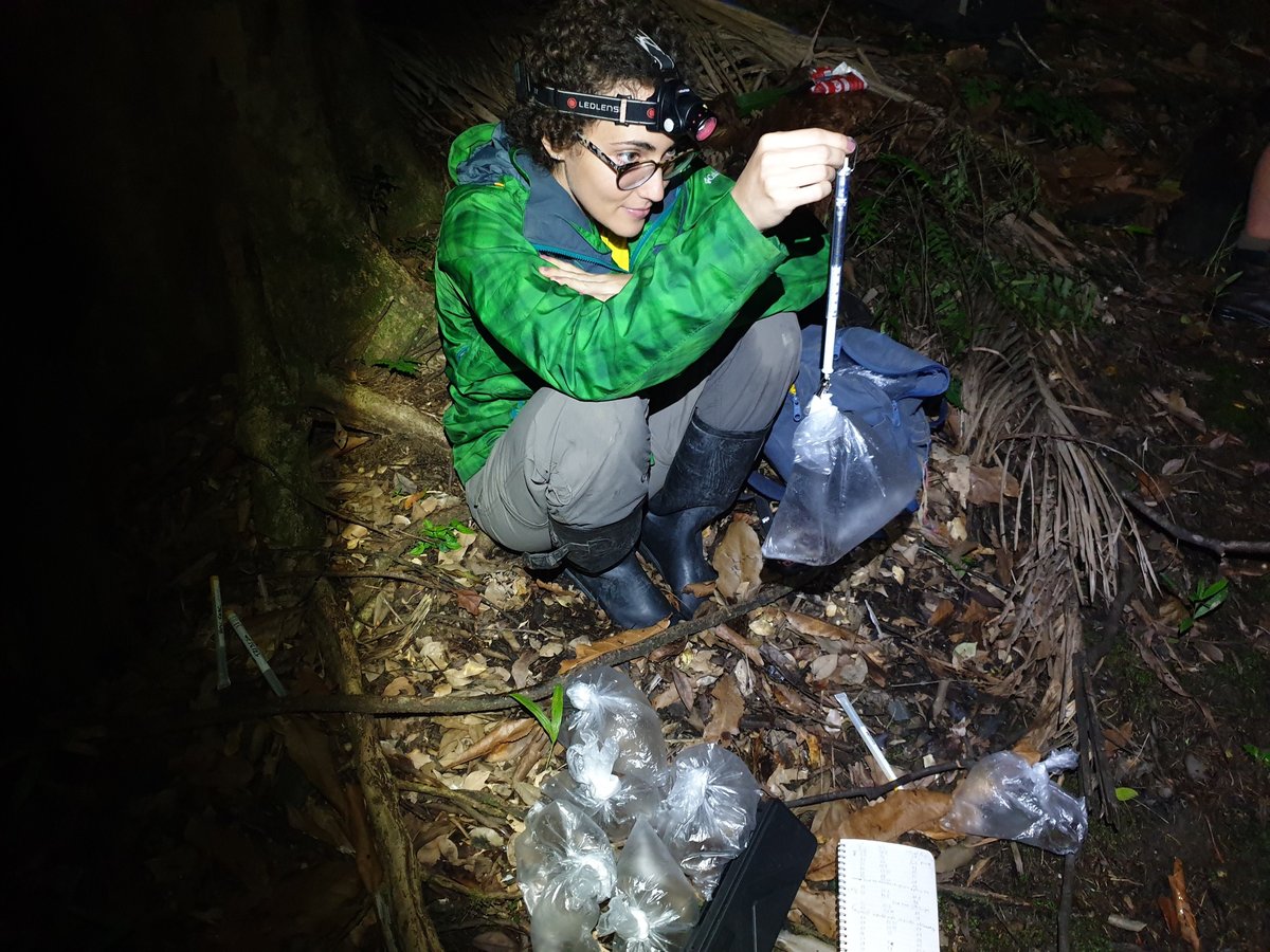 Dr Thais Sasso - The Australian Museum
