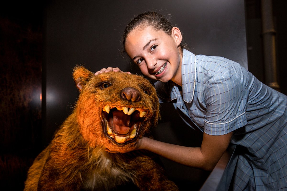 Adaptations: Australia’s ancient animals